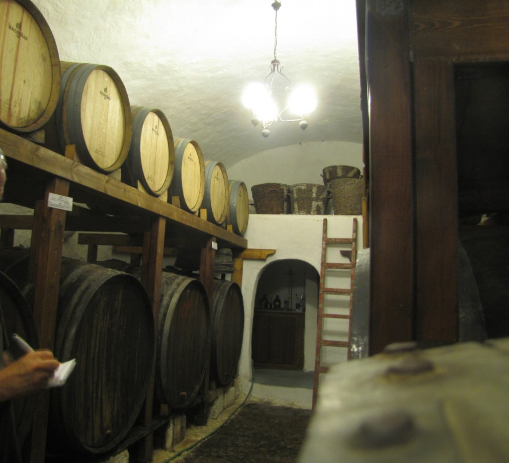 Gavalas - Weinbeobachter