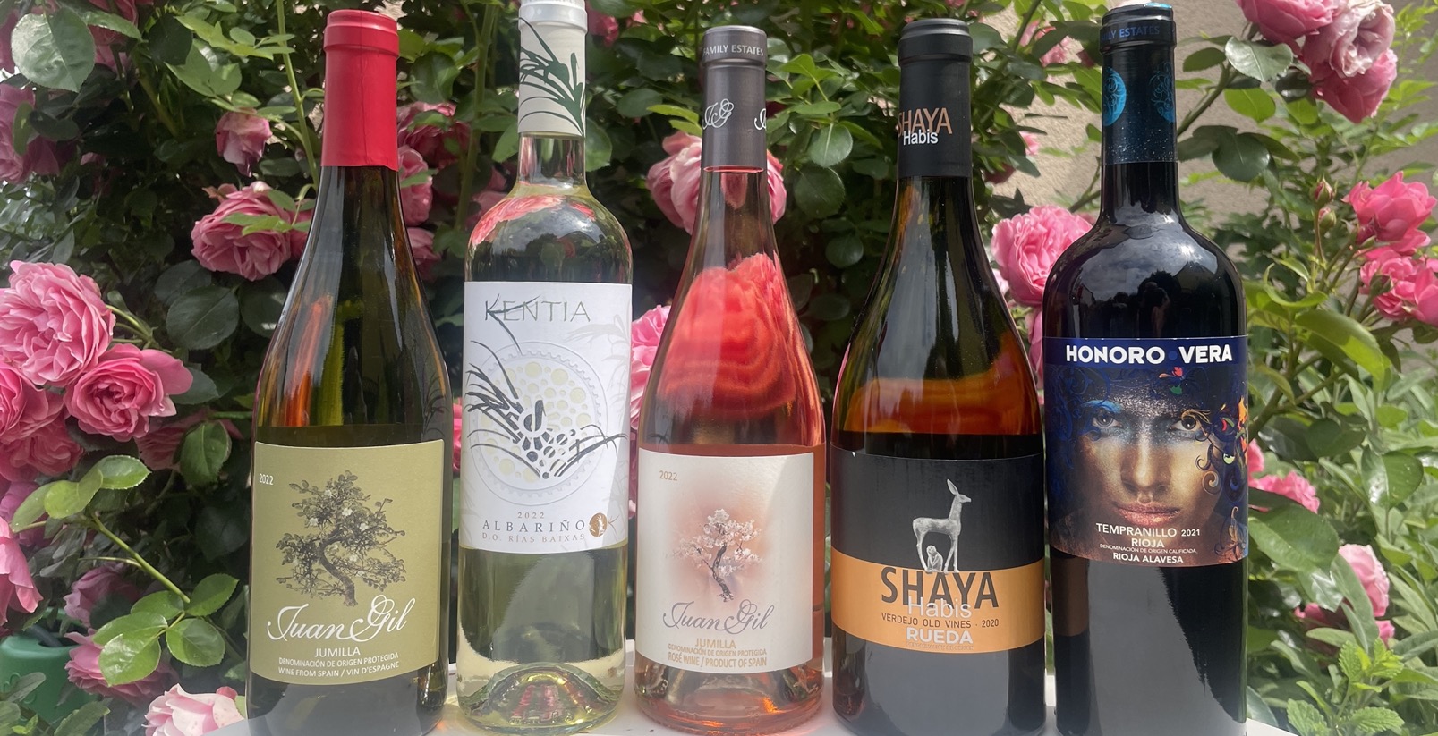 Tapas und Weine der Viñas Familia Gil